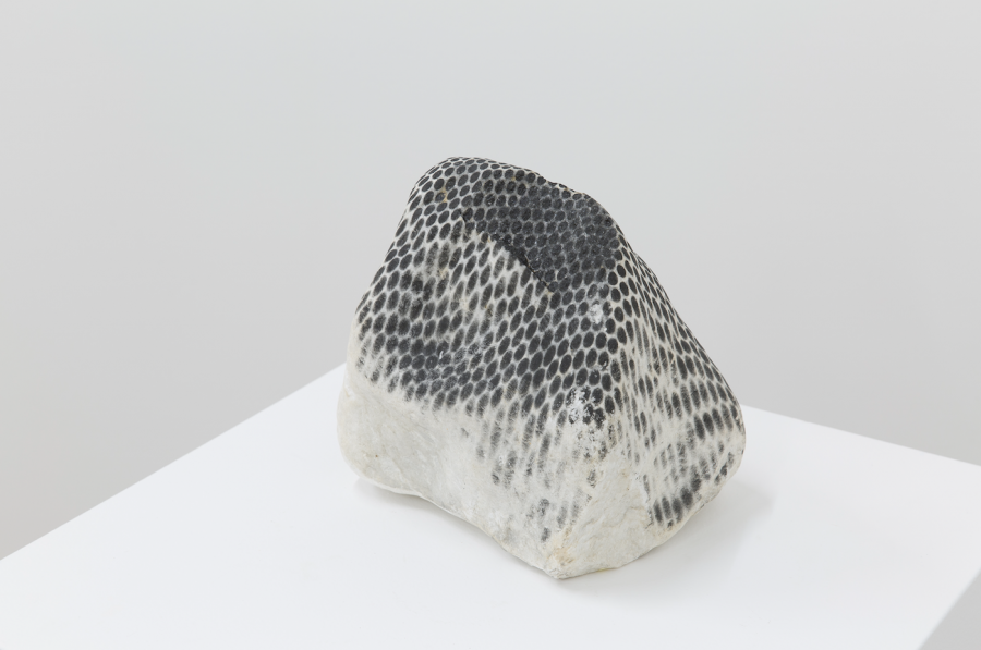 Dérives - Galerie Binome – Biennale de Lyon