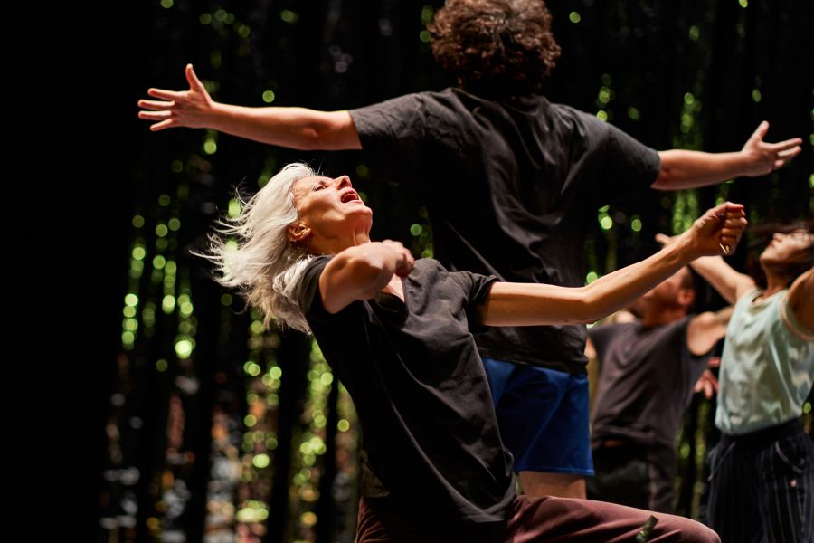 Yuval Pick - CCNR – Silver Rosa – Biennale de Lyon