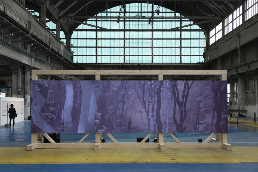 Jesper Just – Interoceptions, 2024 – Biennale de Lyon